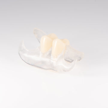 Dental Appliance Collection by Revived Smiles