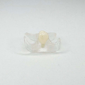 Clear Unilateral Partial Denture - Buy Online